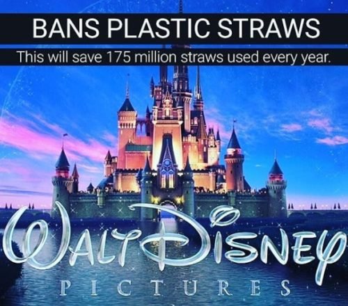 How Green is Walt Disney World Resort in Orlando?